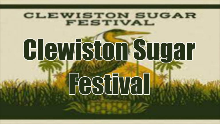 Get Ready for the Apache Rattlesnake Festival 2025: A Slithering ...