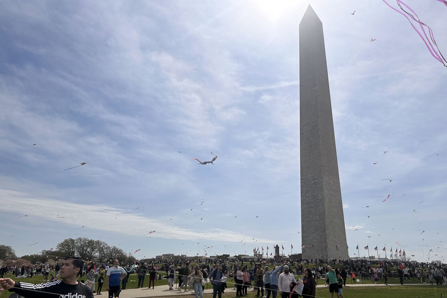 Kite Festival DC 2025: Soar into the Future of Fun and Excitement!