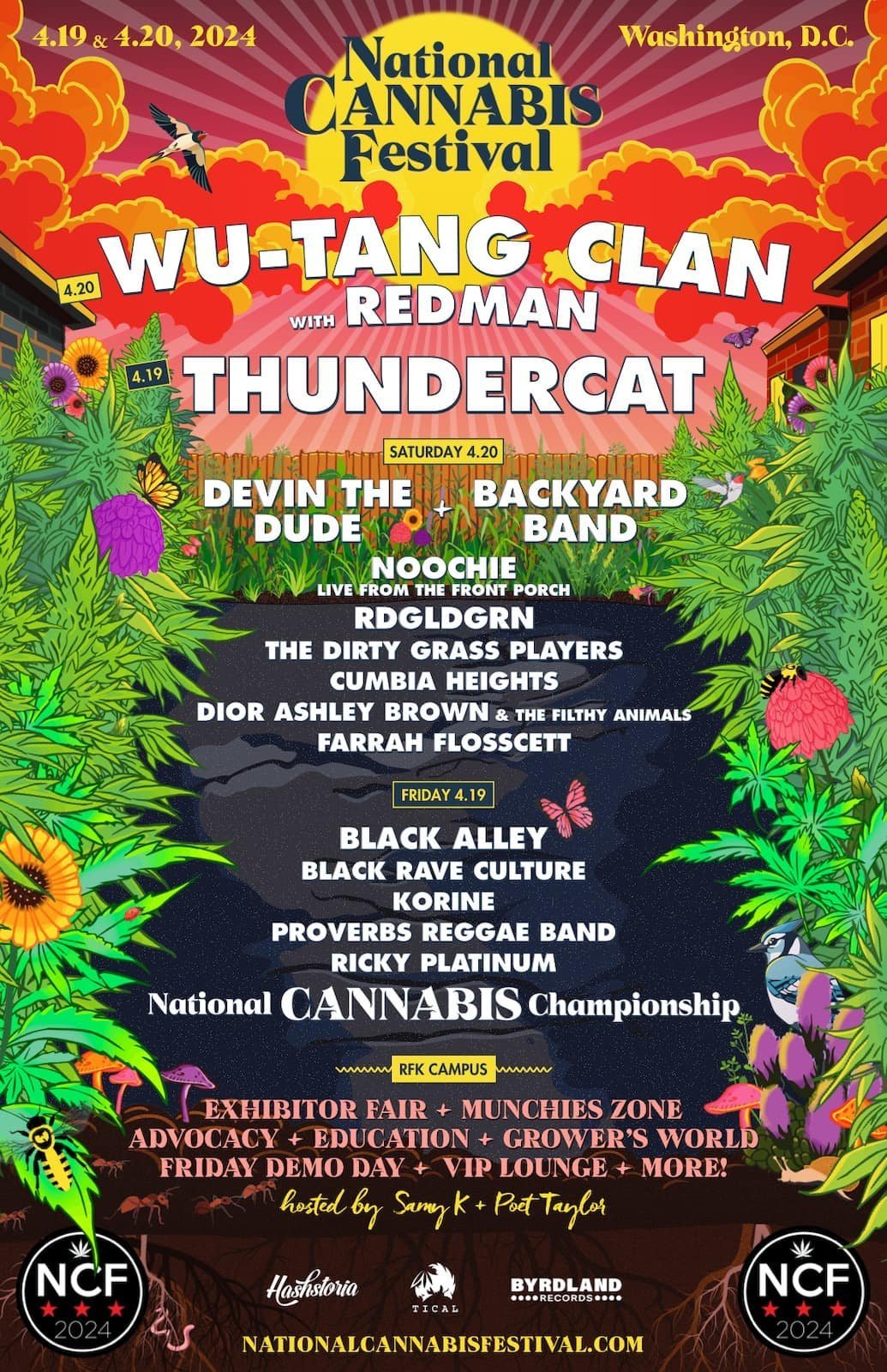 Cannabis Festival 2025: Celebrating the Future of Marijuana Culture