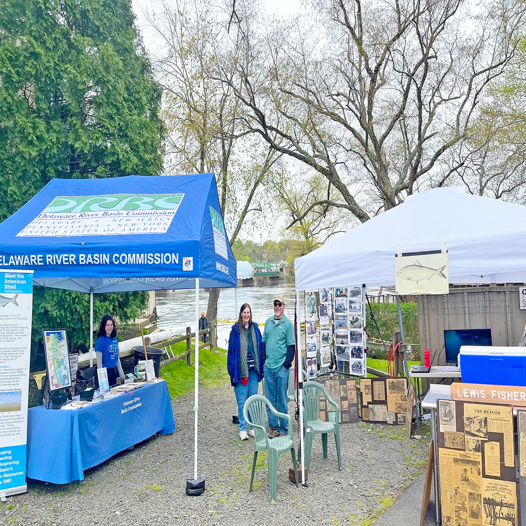 Shad Festival 2025: A Spectacular Celebration of Fish, Food, and Fun!