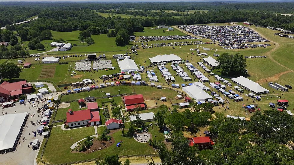 Unveiling the Excitement: Homestead Festival 2025 Preview!