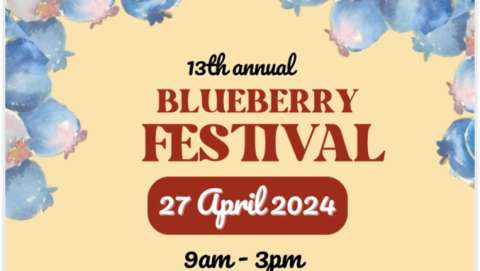 Experience the Best of Avon Park Blueberry Festival 2025: A ...